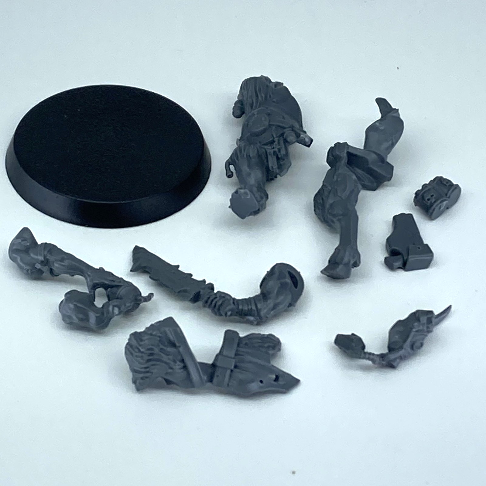 Fellgor Toxhorn - Chaos Space Marines - Warhammer 40k Games Workshop X