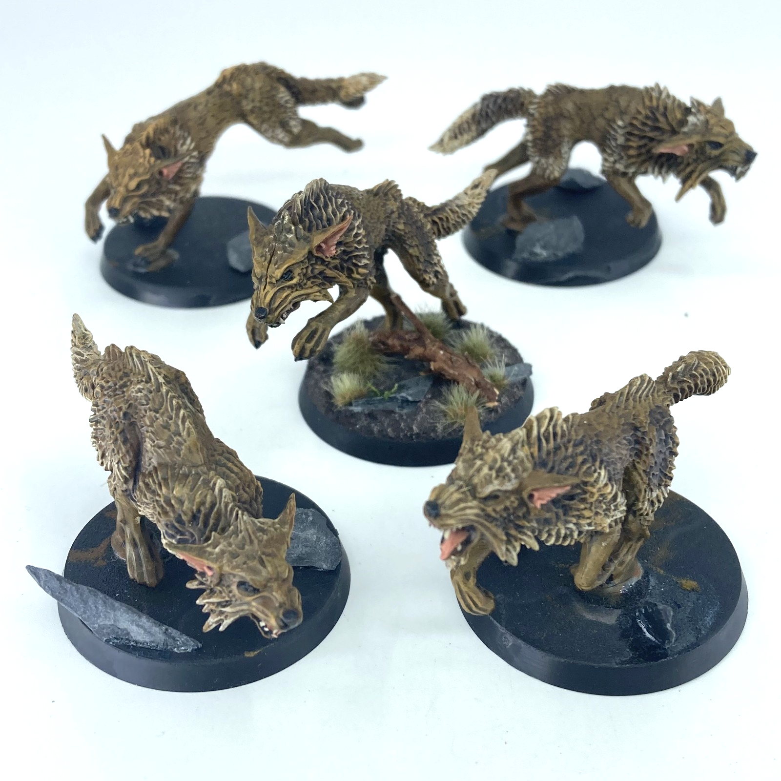 Fenrisian Wolves - Space Wolves - Warhammer 40k Games Workshop C8274