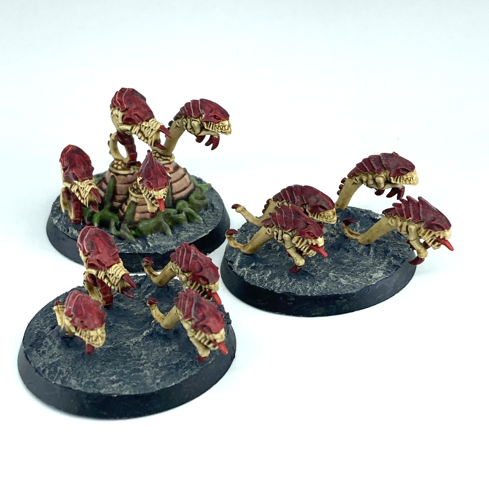 Tyranid Ripper Swarm - Tyranids - Warhammer 40k Games Workshop Painted