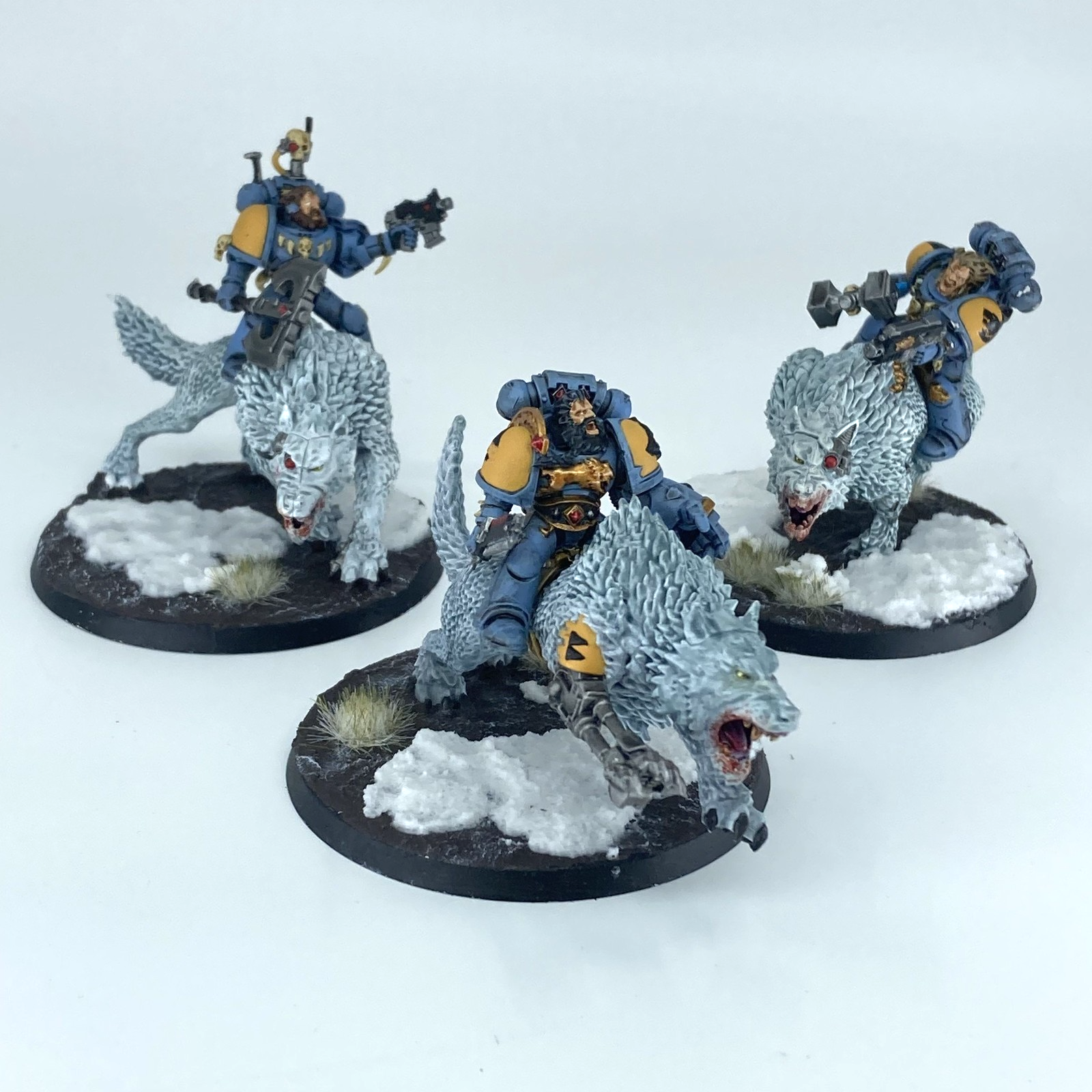 Thunderwolf Cavalry - Space Wolves - Painted Warhammer 40K Games Works